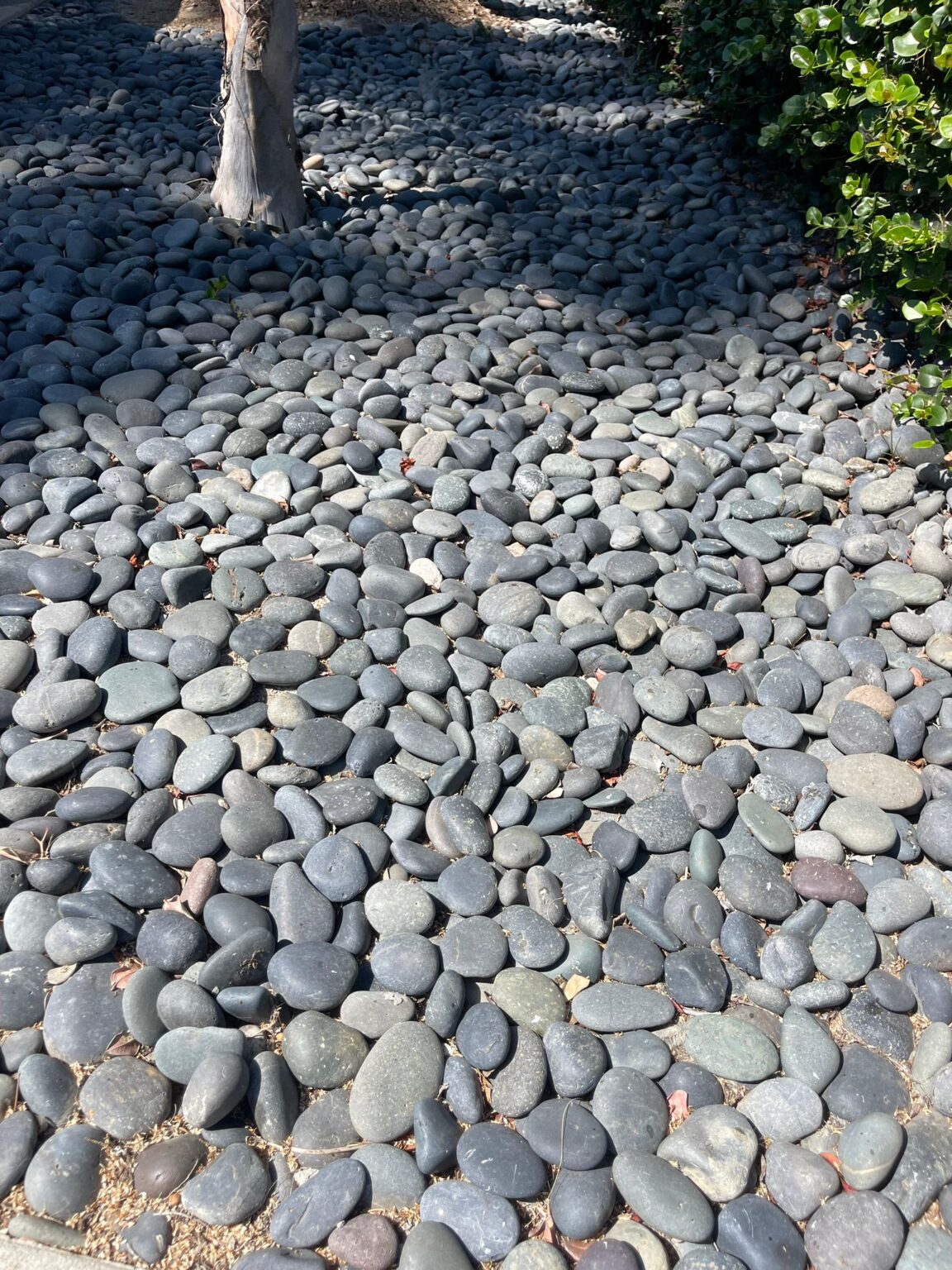 Buy Mexican Beach Pebbles | Premium Decorative Landscaping Rocks