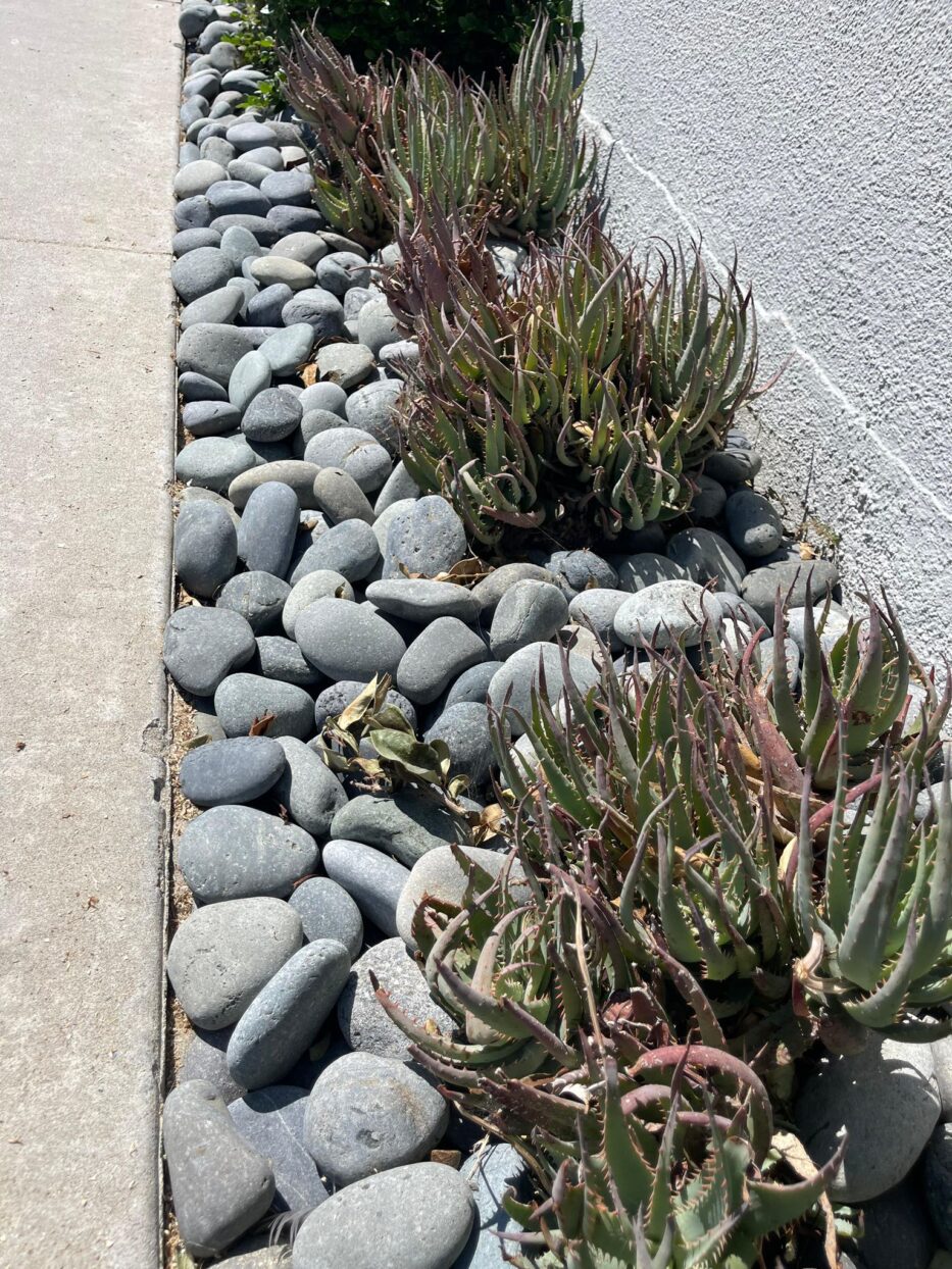 Buy Mexican Beach Pebbles | Premium Decorative Landscaping Rocks