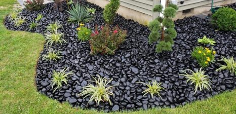 Polished Black Beach Pebbles | River Rock Landscaping | Fast Shipping