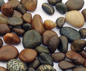 Mixed Gold Pebbles | Rock Stones & Pebbles