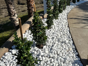 White Pebbles for Landscaping | Buy Premium Garden & Pathway Stones