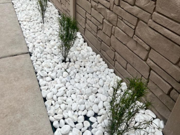 White Pebbles for Landscaping | Buy Premium Garden & Pathway Stones
