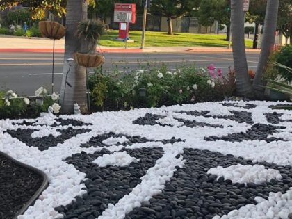Black Mexican Beach Pebbles & River Rocks | Rock Stones & Pebbles