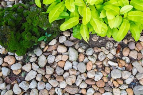 What to Put on Landscaping Rocks to Make Them Look Wet