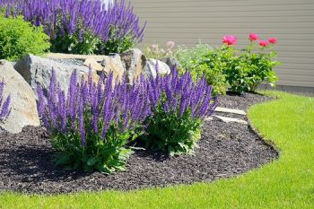 How to Replace Grass with Landscaping Rocks