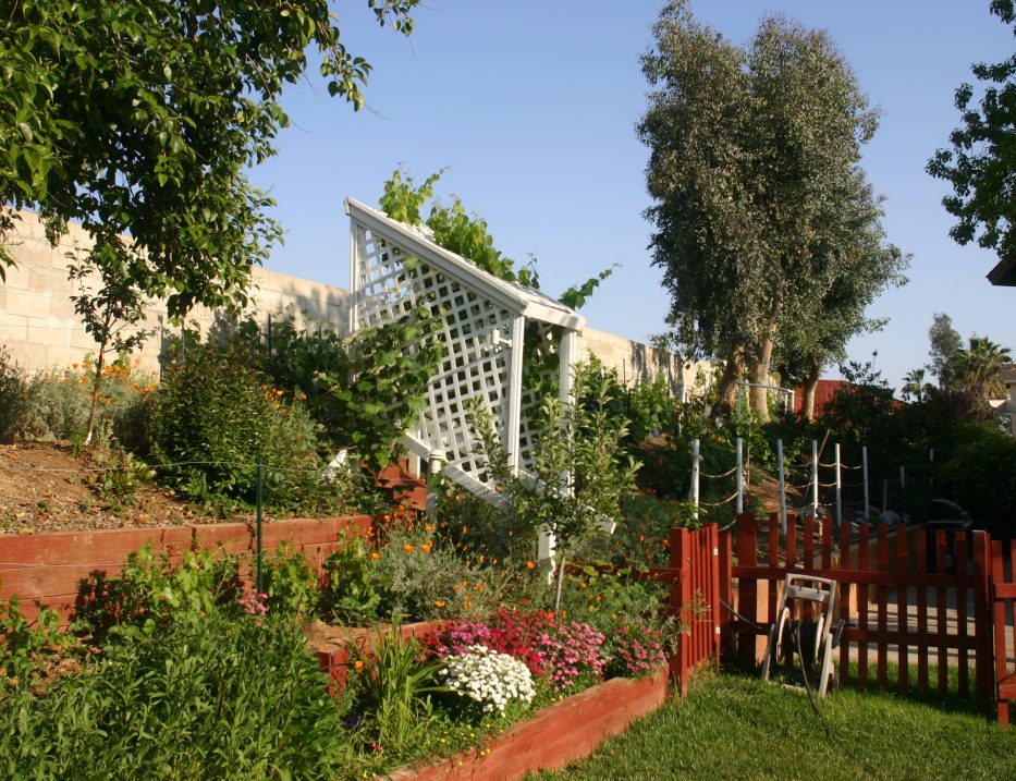 What Are the Best Complementary Colors for Decorative Stone?