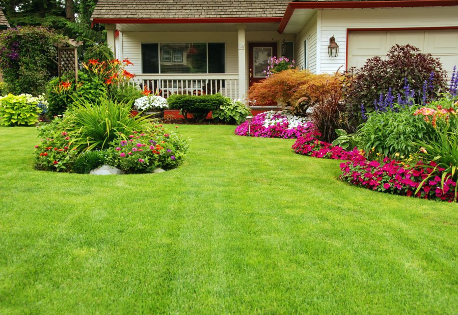 What Are the Different Types of Texture in Landscape Design?