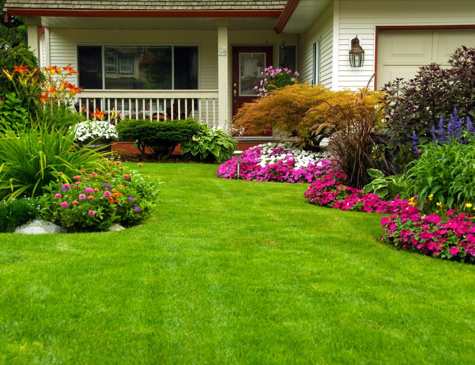 Is It Okay to Put Rocks Over Mulch?