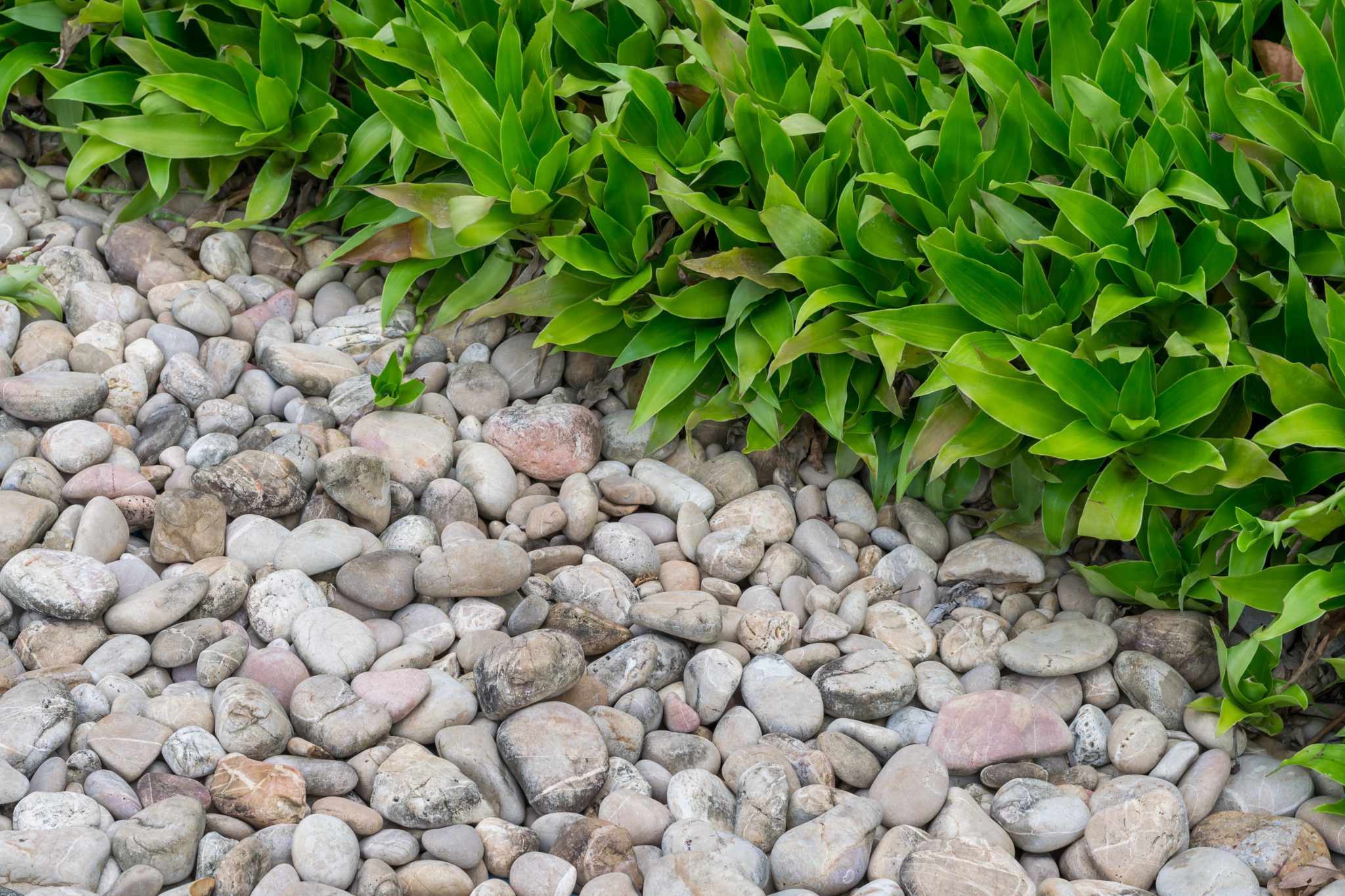 How Do You Arrange Rocks in Landscaping?