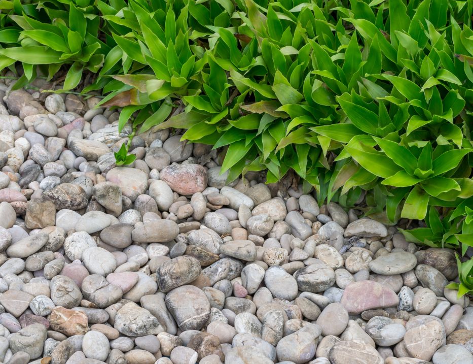 How to Prepare the Ground for Landscaping Rocks