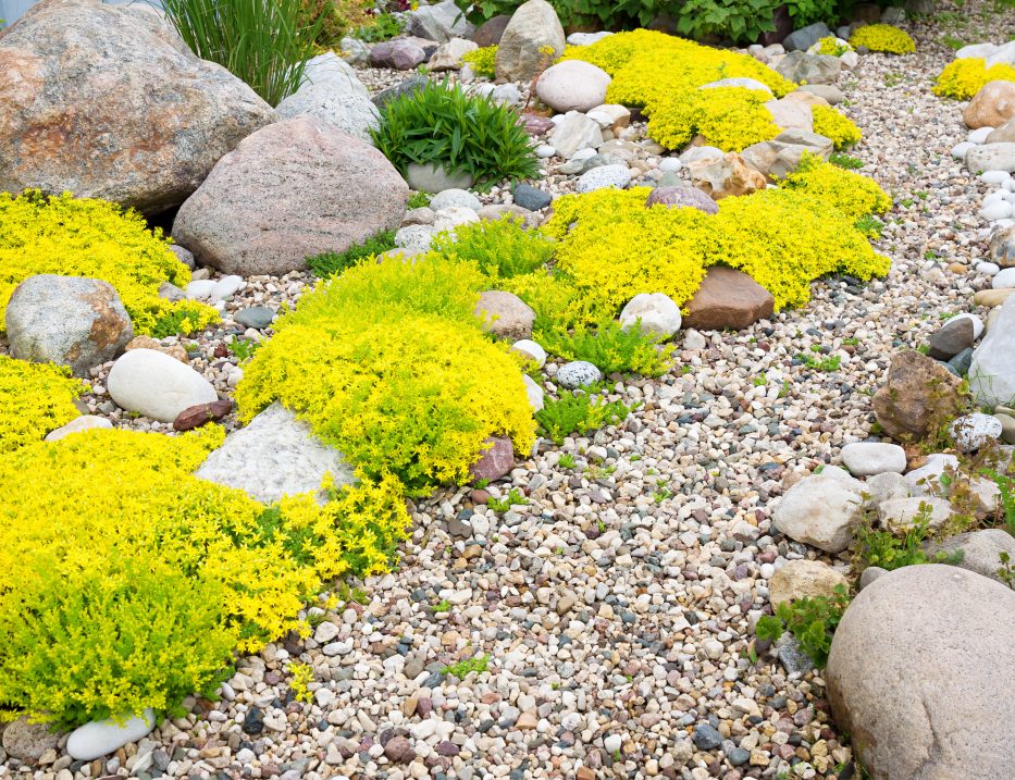 How to Prepare the Ground for Landscaping Rocks